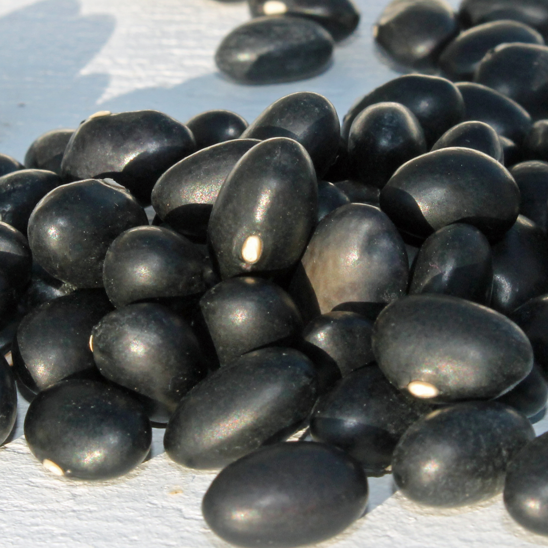 Deaflora Buschbohne Coco Noir Deaflora Buschbohne Coco Noir
