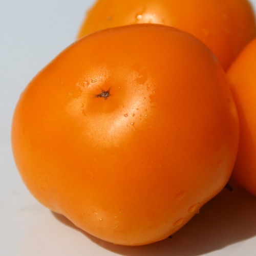 Deaflora - Tomate Queen Orange