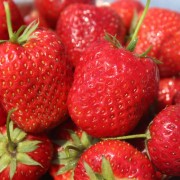 Deaflora - Erdbeeren
