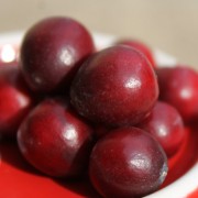 Deaflora - Cranberries und Preiselbeeren