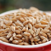 Deaflora - Cerealien und Pseudocerealien