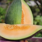 Deaflora - Honigmelonen Samenraritäten