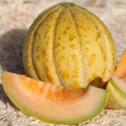 Deaflora - Honigmelonen Samenraritäten