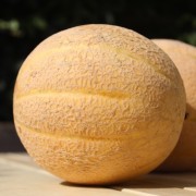 Deaflora - Honigmelonen Samenraritäten